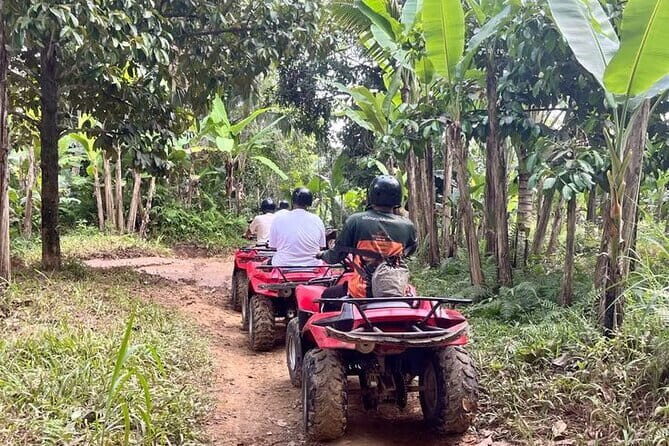 ATV Quad Bike Adventure from Hoi An or Danang - An Enthusiastic Overview of the ATV Adventure Experience