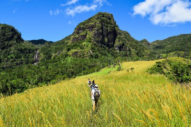 ATV Quad Bike Adventure Tour (Departs Nadi) - The Value Proposition