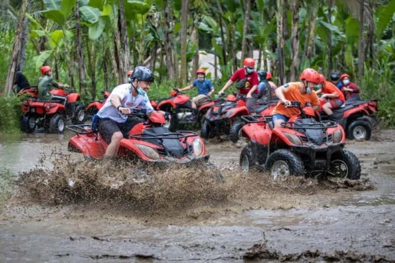 ATV Quad Bike Bali with Waterfall Gorilla Cave and Lunch - Key Points