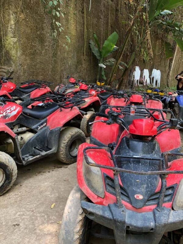ATV Quad,biking adventure ubud - The Bottom Line: Who Should Consider This Adventure?
