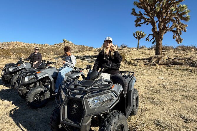 ATV Rentals Thrilling Desert Adventures - An In-Depth Look at the Palmdale ATV Experience