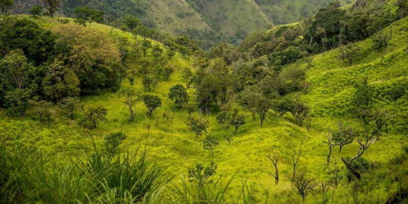 ATV Ride in Ella - Introducing the ATV Experience in Ella