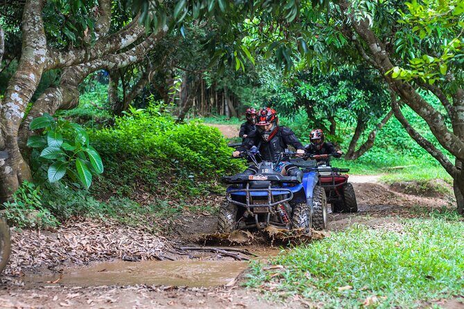 ATV Safari 3 Hrs & Jungle Trekking Day Tour From Chiang Mai - Practical Details and What to Bring