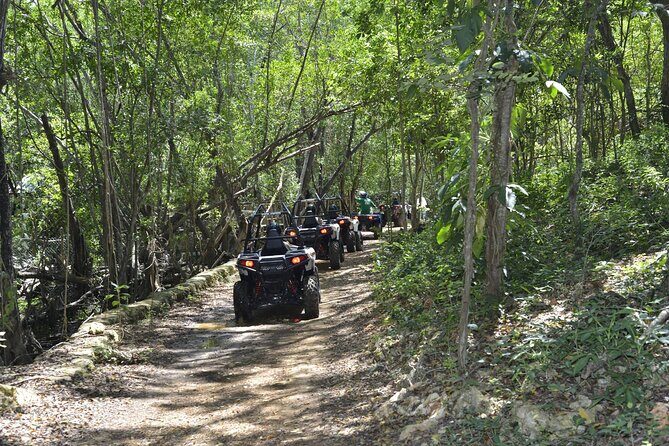 ATV Safari, Horseback Ride and Catamaran Cruise Experience - Who Would Enjoy This Tour?