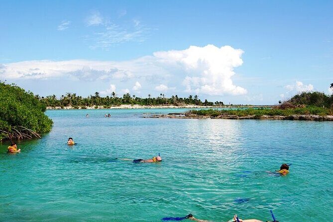 ATV Single with Yalku Cove Swim from Playa Del Carmen and Tulum - Key Points