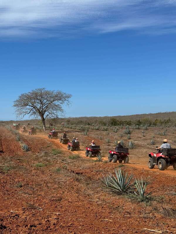 ATV & TEMAZCAL COMBO TOUR - The Temazcal Experience: Tradition and Wellness