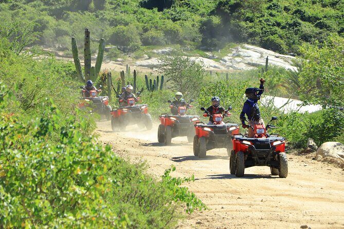 ATV Tour, Camel Ride, Tequila Tasting and Mexican Buffet Lunch - Key Points