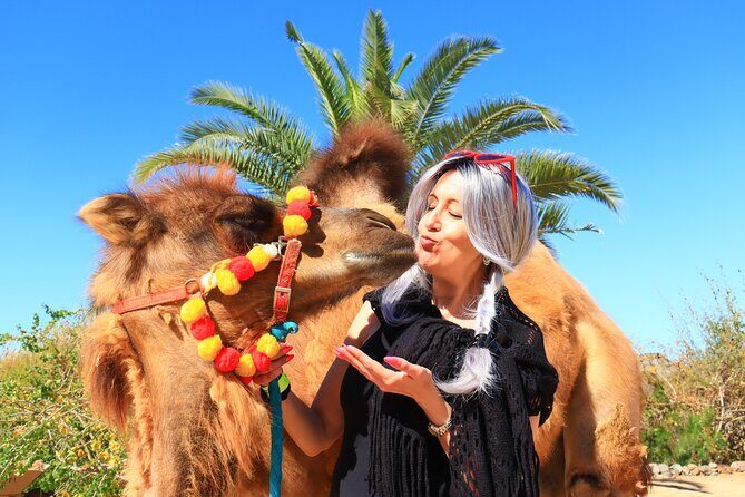 ATV Tour, Camel Ride, Tequila Tasting and Mexican Buffet Lunch - Who Is This Tour Best Suited For?