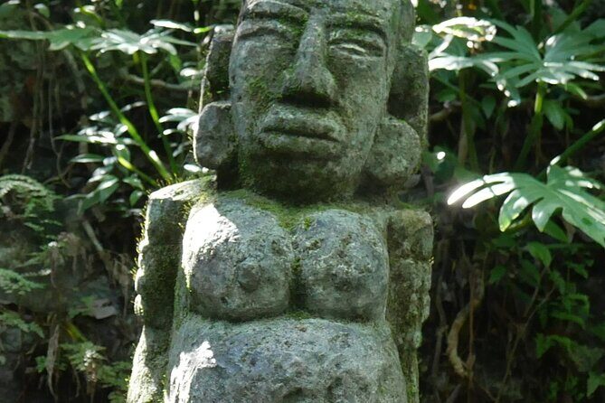 ATV Tour El Viejo y Yo Beach Pass with Lunch, Snorkel and Kayaks - Practical Considerations and Tips