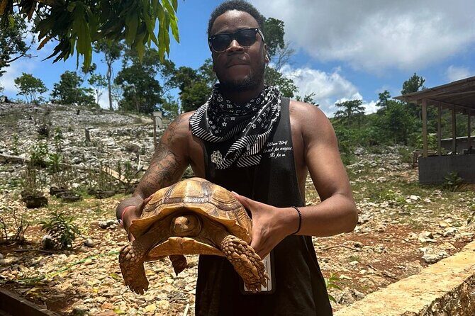 ATV Tour from Montego Bay with private transportation - What the Tour Offers and Why It Matters