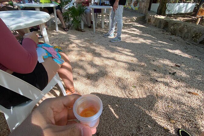 ATV Tour in Playa del Carmen with Zip Lines - Who Should Consider This Tour?