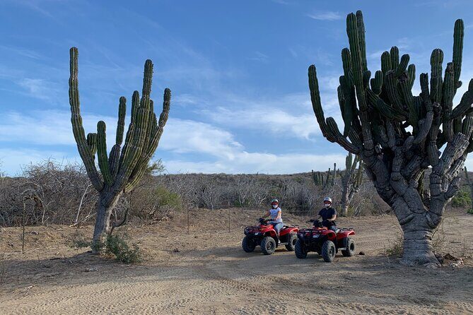 ATV Tour: San Jose del Cabo Hidden Beaches & Desert Trail - The Sum Up