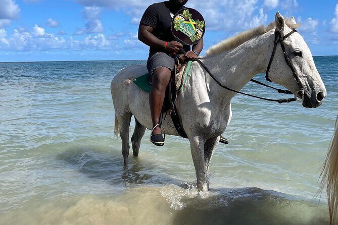 ATVS and Quad Biking Horseback Riding and Ricks Cafe - FAQ