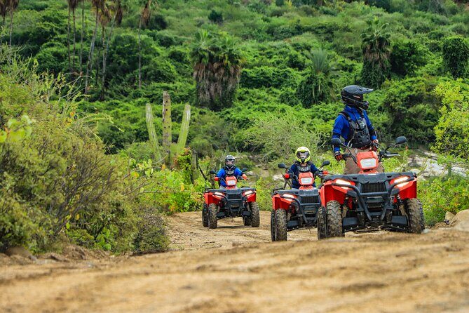 ATVs, UTVs, and Camel Ride in All Access Adventure Park and Beach - Who Will Love This Tour?