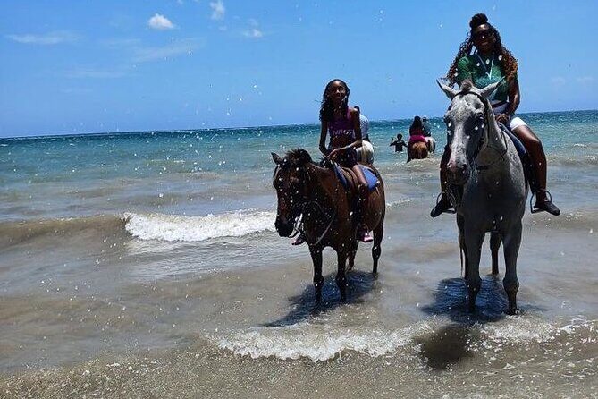 ATVs/zipline/Hb riding and catamaran all day activities. - FAQs