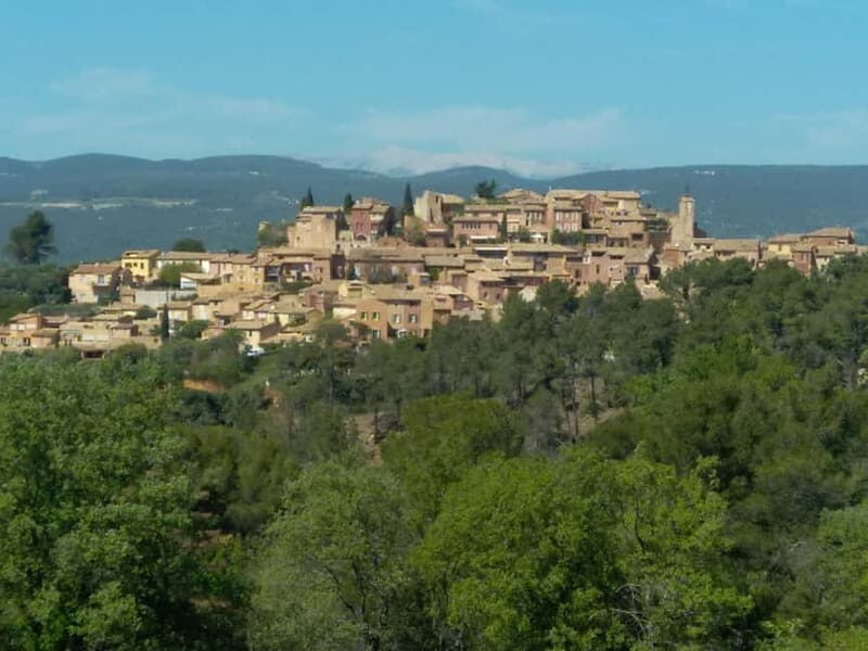 au départ Avignon: half-day lavender tour - Final Thoughts: Is This Tour Worth It?