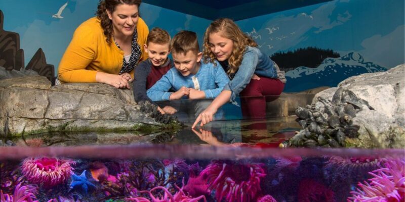 Auburn Hills: Legoland and Sea Life Aquarium Combo Ticket - An In-Depth Look at the Attractions and Experience