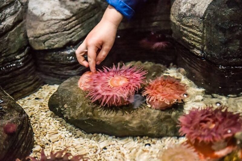 Auburn Hills: Legoland and Sea Life Aquarium Combo Ticket - Who Will Enjoy This Experience?