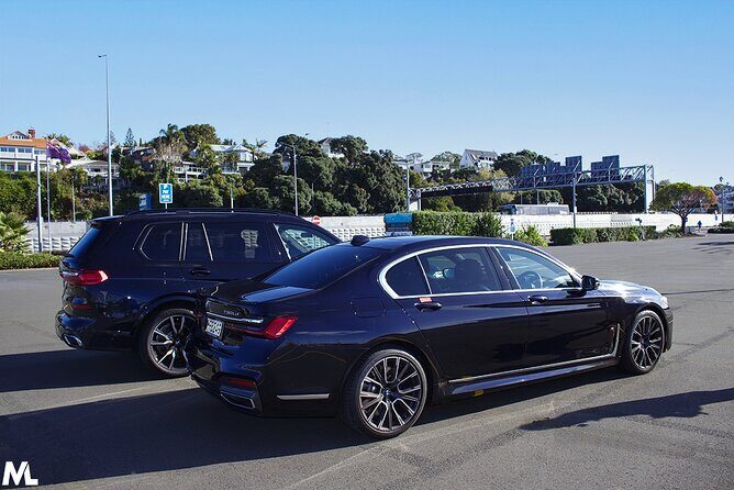 Auckland Airport Arrival Transfer (Individuals and Groups) - Who Will Appreciate This Service?