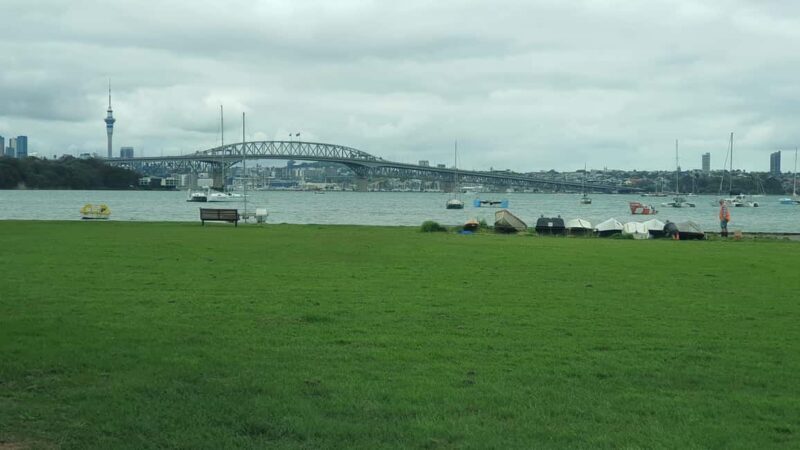 Auckland: Auckland City Tour 4 hours private - A Bright Introduction to Auckland’s Charms