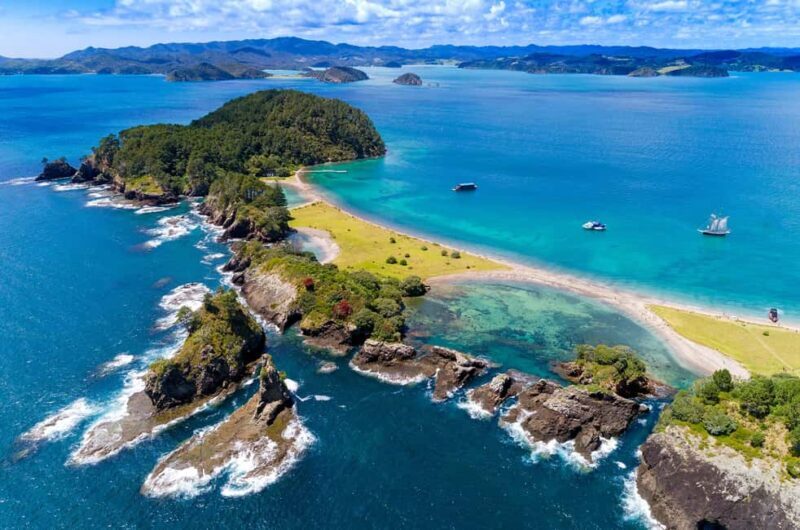 Auckland: Bay of Islands Day Tour with Dolphin Cruise - Key Points