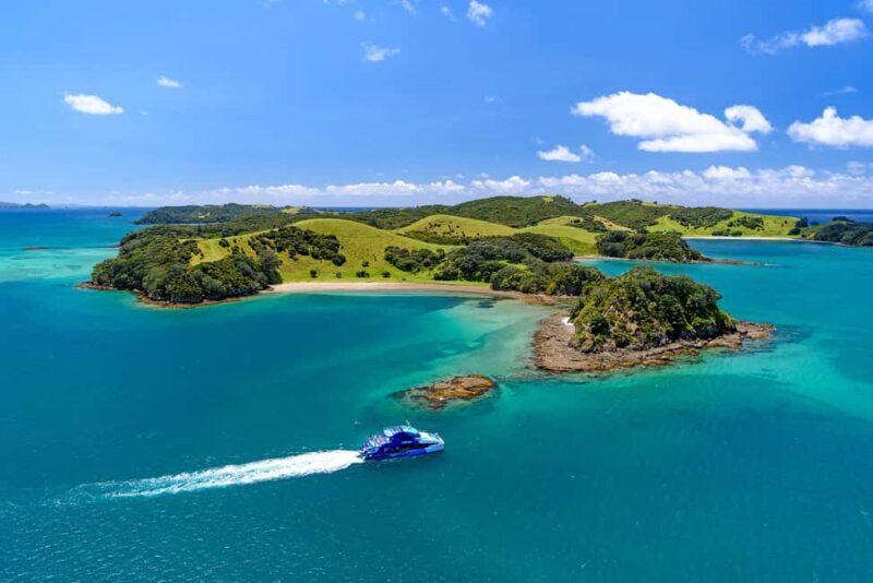 Auckland: Bay of Islands Day Tour with Dolphin Cruise - An Introduction to the Experience