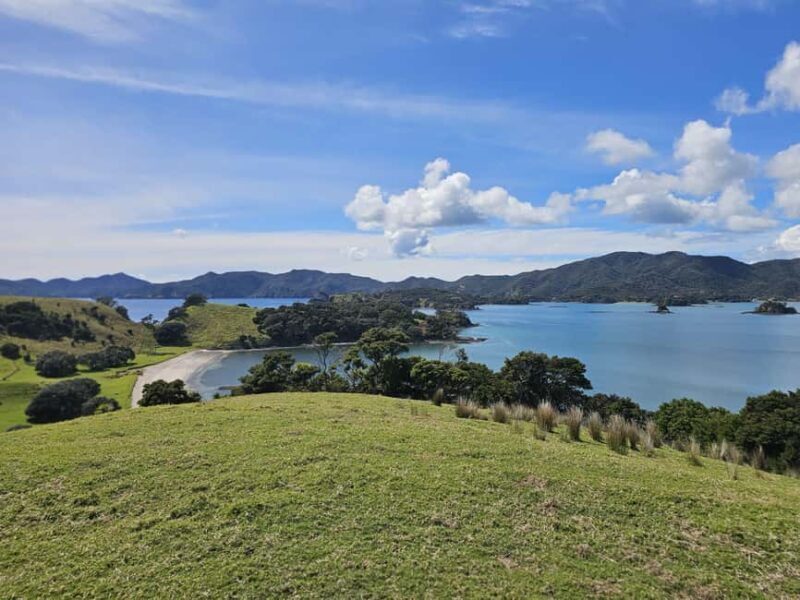 Auckland: Bay of Islands Tour & Cruise 2Day Small Group Tour - Practicalities and tips