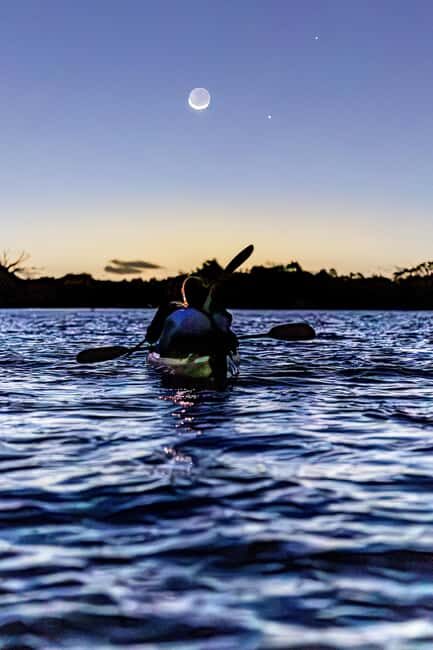 Auckland: Bioluminescence Kayak Tour - Why This Tour Is Worth Considering