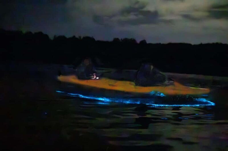Auckland: Bioluminescence Kayak Tour - Final Thoughts