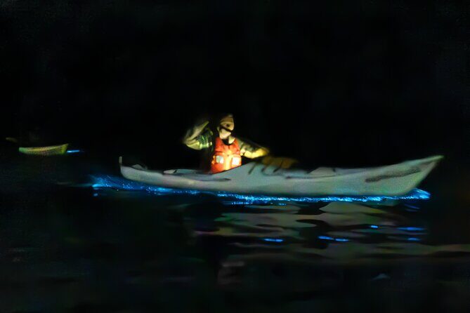 Auckland Bioluminescence Kayak Tour - Auckland Bioluminescence Kayak Tour: A Nighttime Wonder in New Zealand