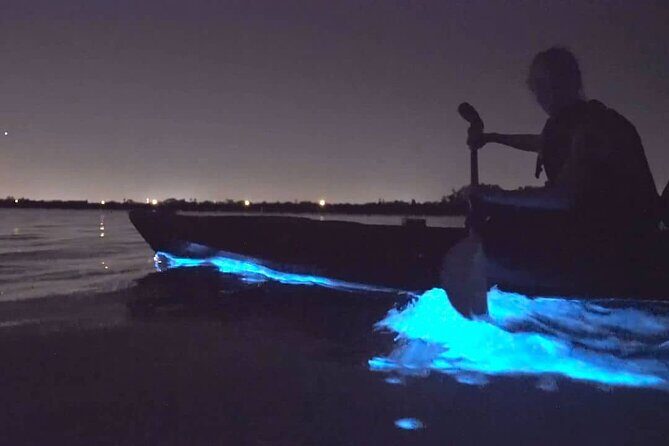Auckland Bioluminescence Kayak Tour - Key Points