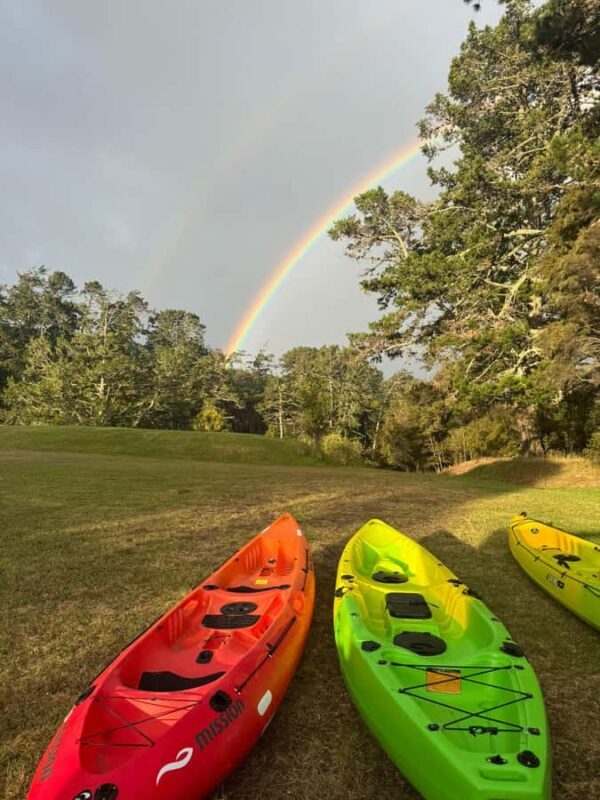 Auckland: Bioluminescence Kayak Tour with Guide - Key Points