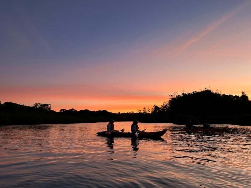 Auckland: Bioluminescence Kayak Tour with Guide - Final Thoughts: Is This Tour For You?