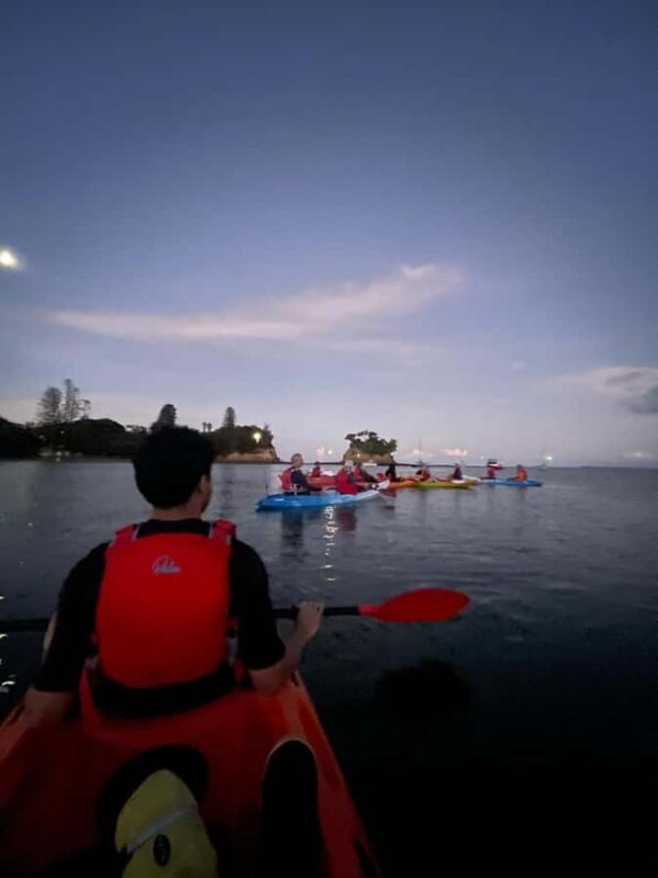 Auckland: Bioluminescence Kayak Tour with Guide - FAQ