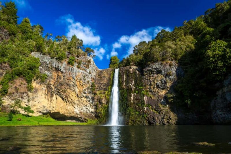 Auckland: Birdwatching, Hiking & Waterfalls Tour - Auckland: Birdwatching, Hiking & Waterfalls Tour — A Quiet Escape into Nature