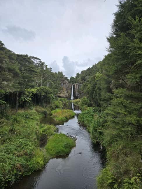 Auckland: Birdwatching, Hiking & Waterfalls Tour - The Practicalities: Transportation & Logistics