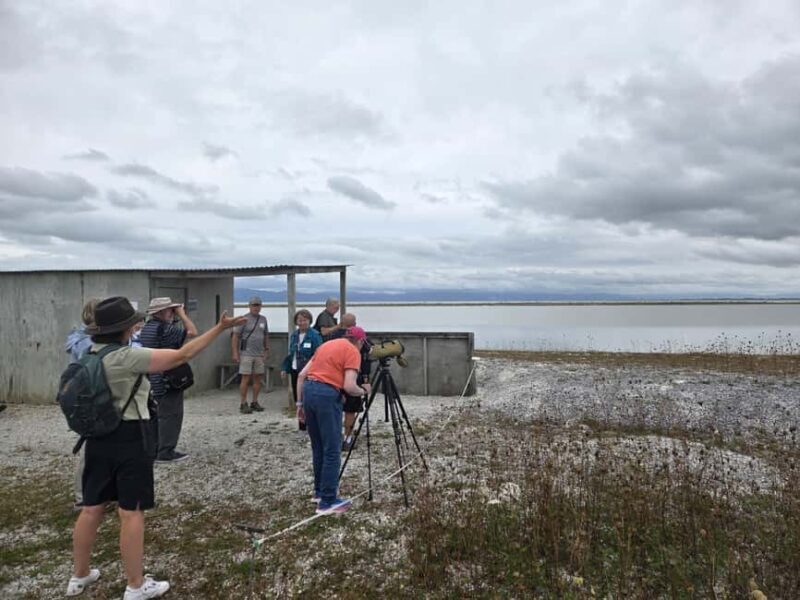 Auckland: Birdwatching, Hiking & Waterfalls Tour - Frequently Asked Questions