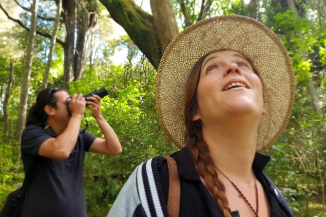 Auckland Bush, Beach and Bites Trail - Exploring Auckland’s Coastal Wilderness and Scenic Beaches
