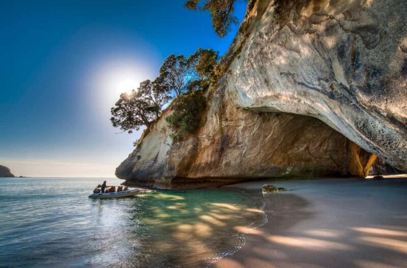 Auckland: Cathedral Cove and Coromandel Small Group Tours - The Value of This Tour