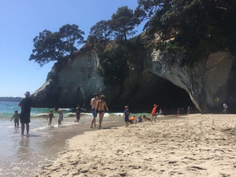 Auckland: Cathedral Cove and Coromandel Small Group Tours - Authenticity and Personal Touches