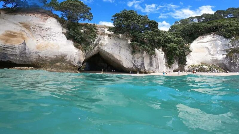 Auckland: Cathedral Cove & Coromandel Small-Group Tour - Beach Time: Te Pare, Cooks Beach, and Lonely Bay