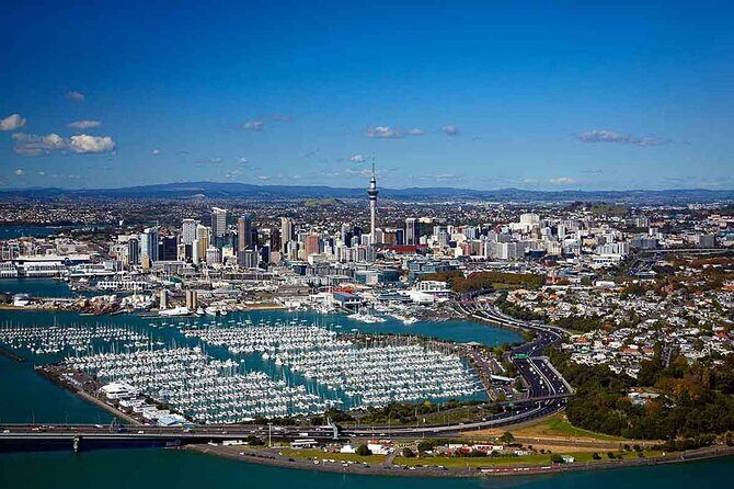 Auckland City and Native Kiwi Encounter Small Group Tour - Key Points: