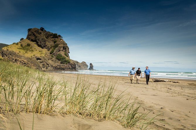 Auckland City and West Coast Full Day Tour - Introducing the Auckland City and West Coast Full Day Tour