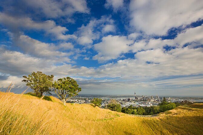 Auckland City and West Coast Full Day Tour - Who Should Book This Tour?