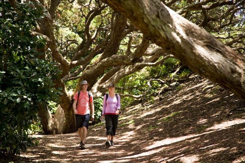 Auckland City and West Coast Luxury Tour - Who Will Love This Tour?