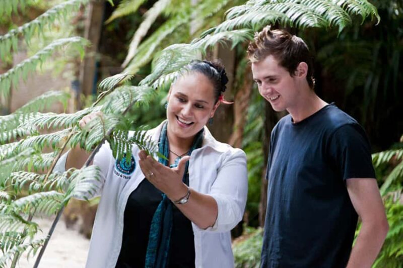 Auckland City and West Coast Luxury Tour - FAQs