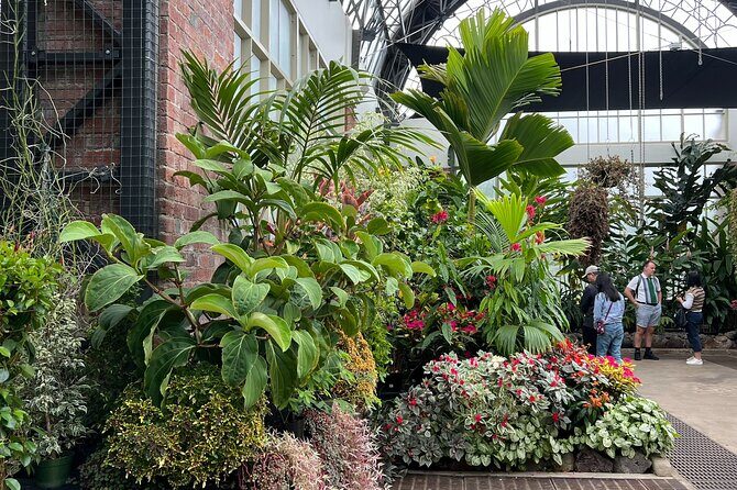 AUCKLAND CITY Full Day Tour with War Memorial Museum and Mt Eden - Who Should Consider This Tour?