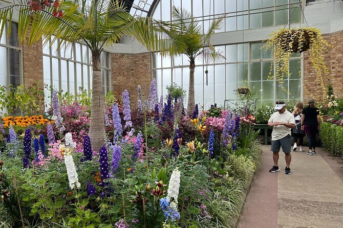 AUCKLAND CITY Full Day Tour with War Memorial Museum and Mt Eden - Final Thoughts: Is It Worth It?