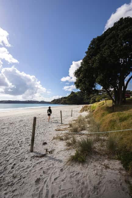 Auckland City Full Tour -PRIVATE TOUR - FAQs