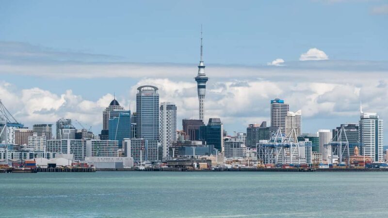 Auckland City Half Day Tour - Discovering Auckland’s city highlights